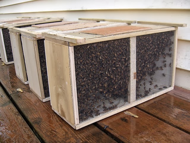 BumbleDo: Ordering Your Bees