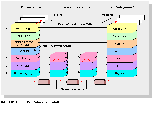 Serielle Bussysteme: Netzwerktopologien und Kommunikationsmodelle