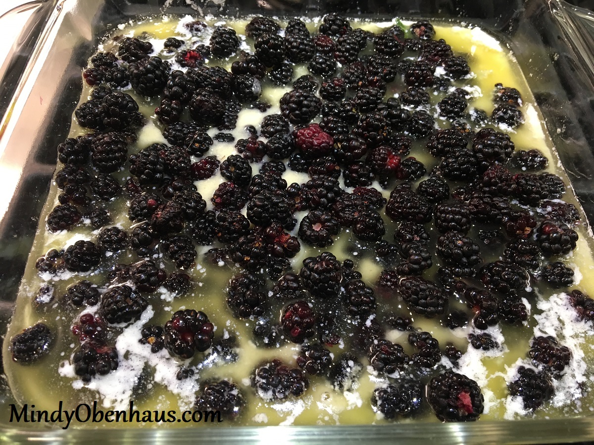 Yankee-Belle Cafe: Dewberry Cobbler