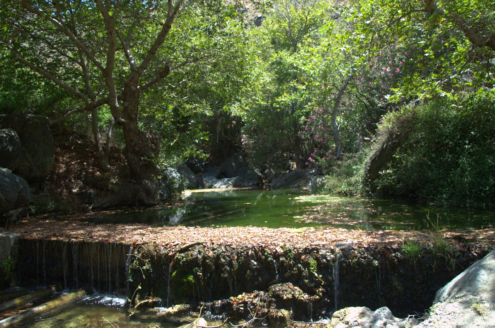 ΟΡΕΙΒΑΤΙΚΟΣ ΣΥΛΛΟΓΟΣ ΑΓΙΟΥ ΝΙΚΟΛΑΟΥ (1ος κύκλος): ΣΤΟ ΦΑΡΑΓΓΙ ΤΟΥ ΡΙΧΤΗ ...