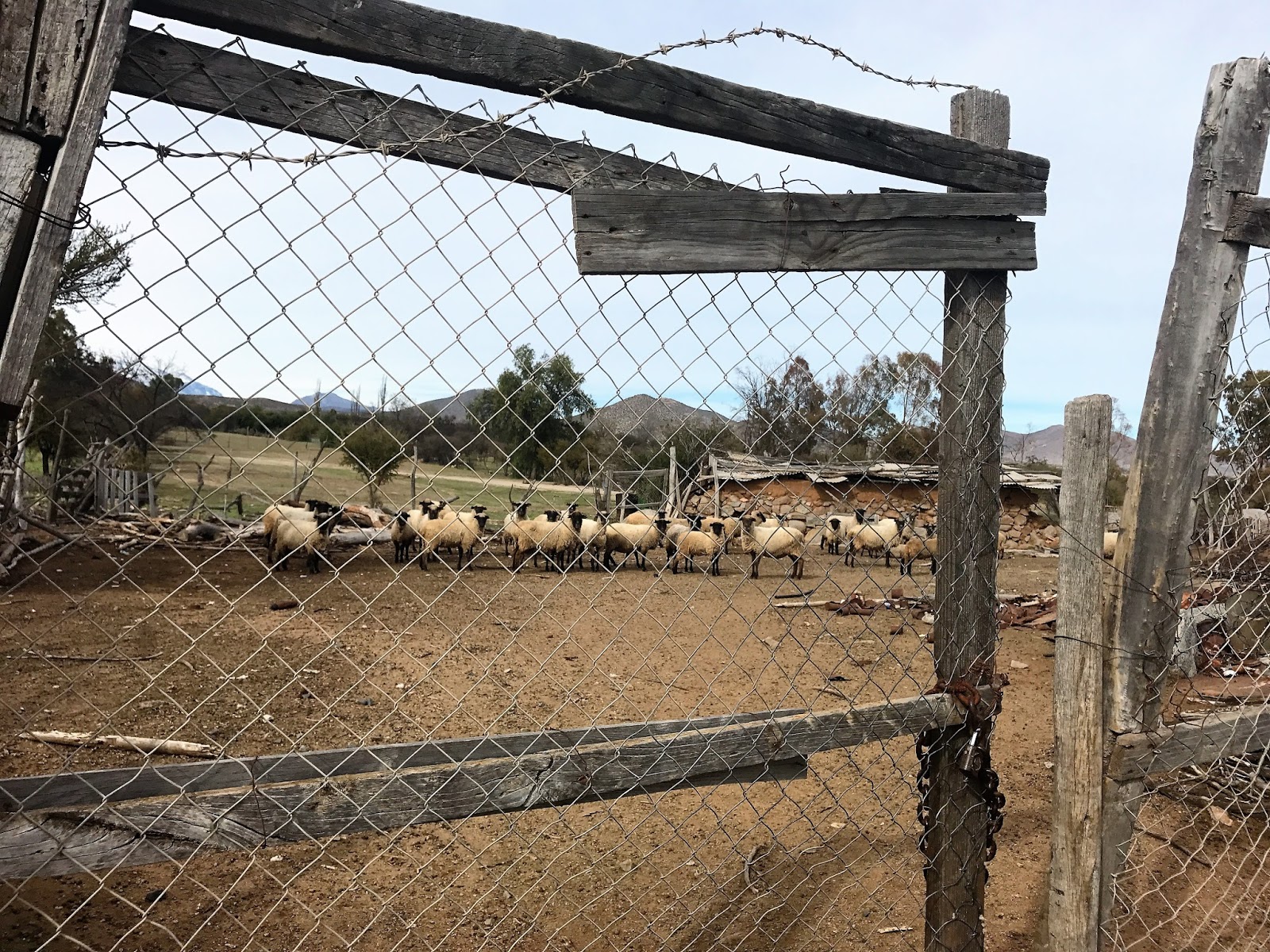 Origen Limarí: El Corazón de Combarbalá