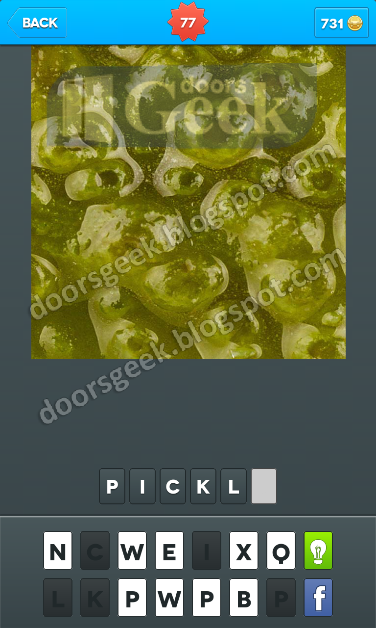 Zoomed In - Photo Word Game Level 77 ~ Doors Geek