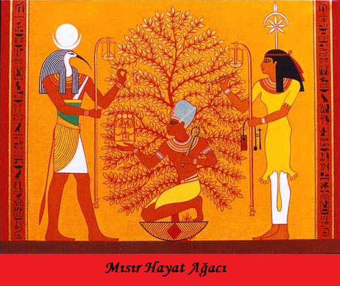 PROMETHEUS: HAYAT AĞACI - DOĞUM, YAŞAM, ÖLÜM