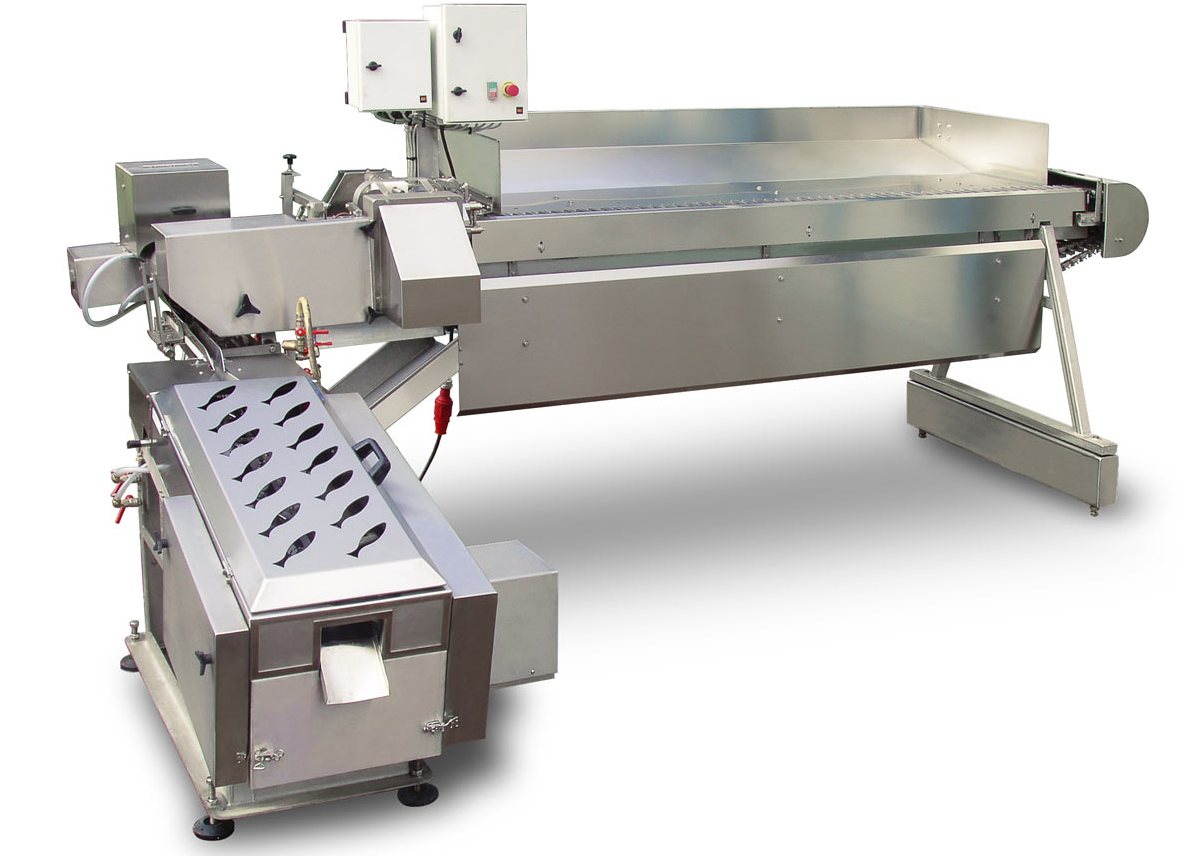 4 Different Types of Sardine Processing Machine - Frozen Sardine Fish, Frozen Sardine in Tomato ...