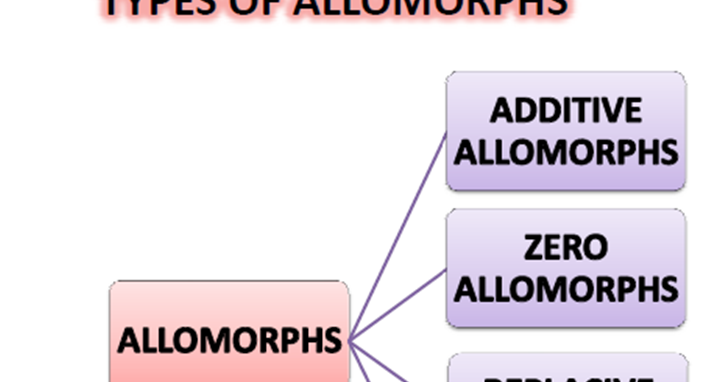 ALLOMORPHS ~ Morphology