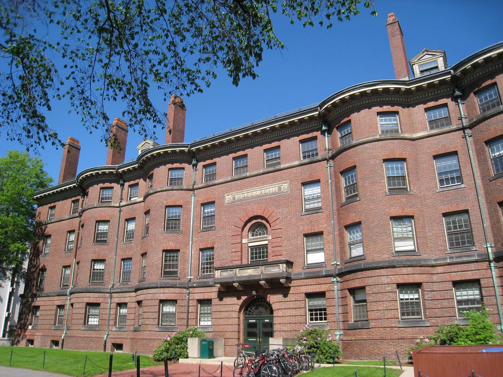 BARLINTIY: This University is My Dream