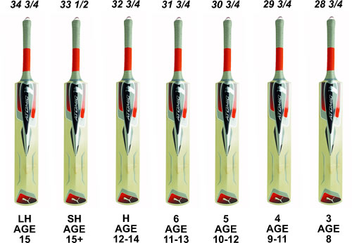Aleda Costa: Best Cricket Bat Ever ...
