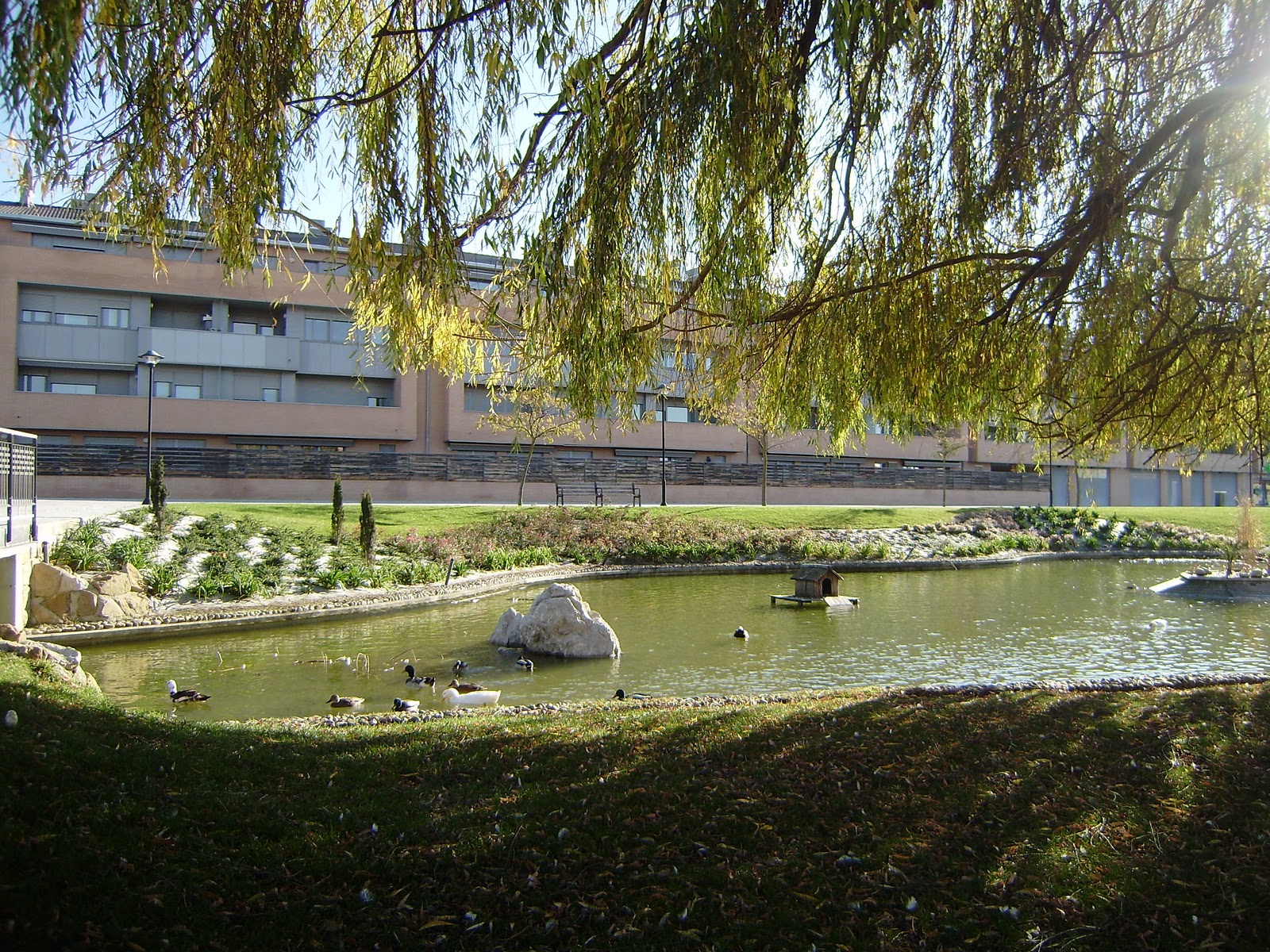Aprendices De Gourmet: COMIDA EN LA VENTA DE JUAN PITO ( PUERTO DE ...