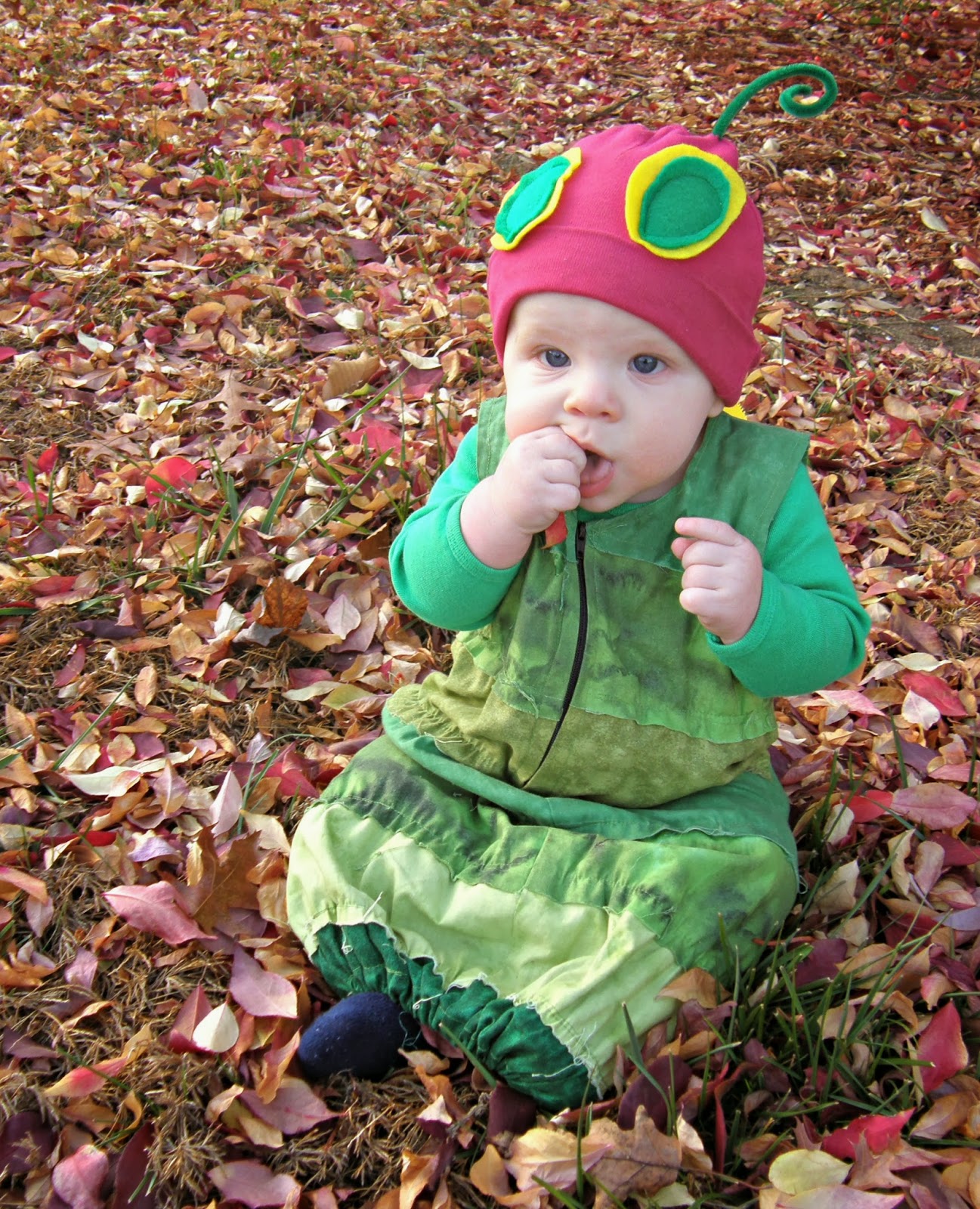 Mommykakes: The Very Hungry Caterpillar Costume