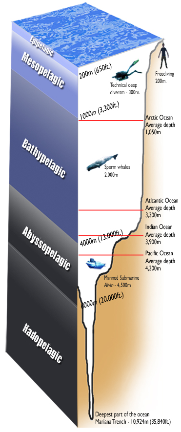 Dredd Blog: Patterns: Conservative Temperature & Potential Enthalpy