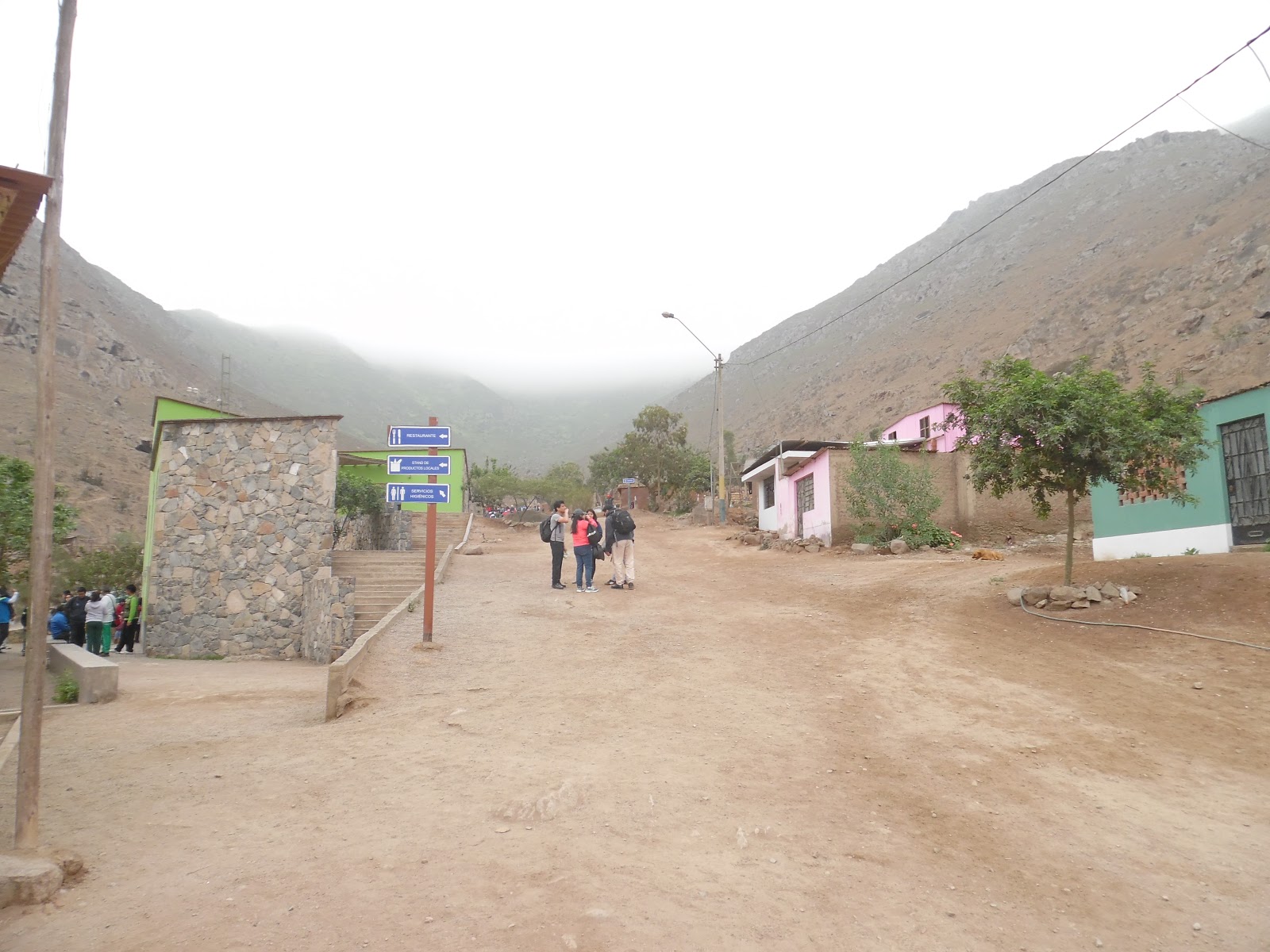 Piruwmanta chaski: Lomas de Lúcumo, un oasis entre el cemento
