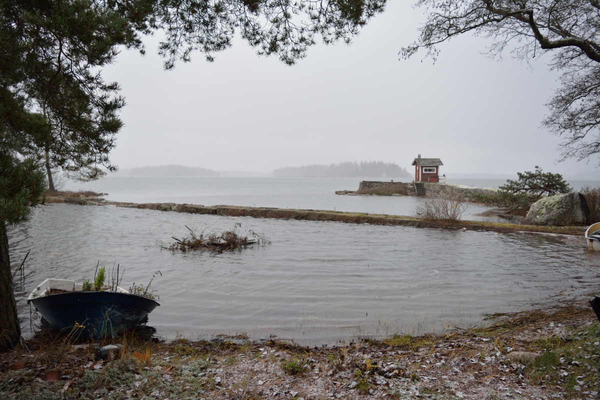 Merivesi nousee takapihalle - Saaristopuutarha