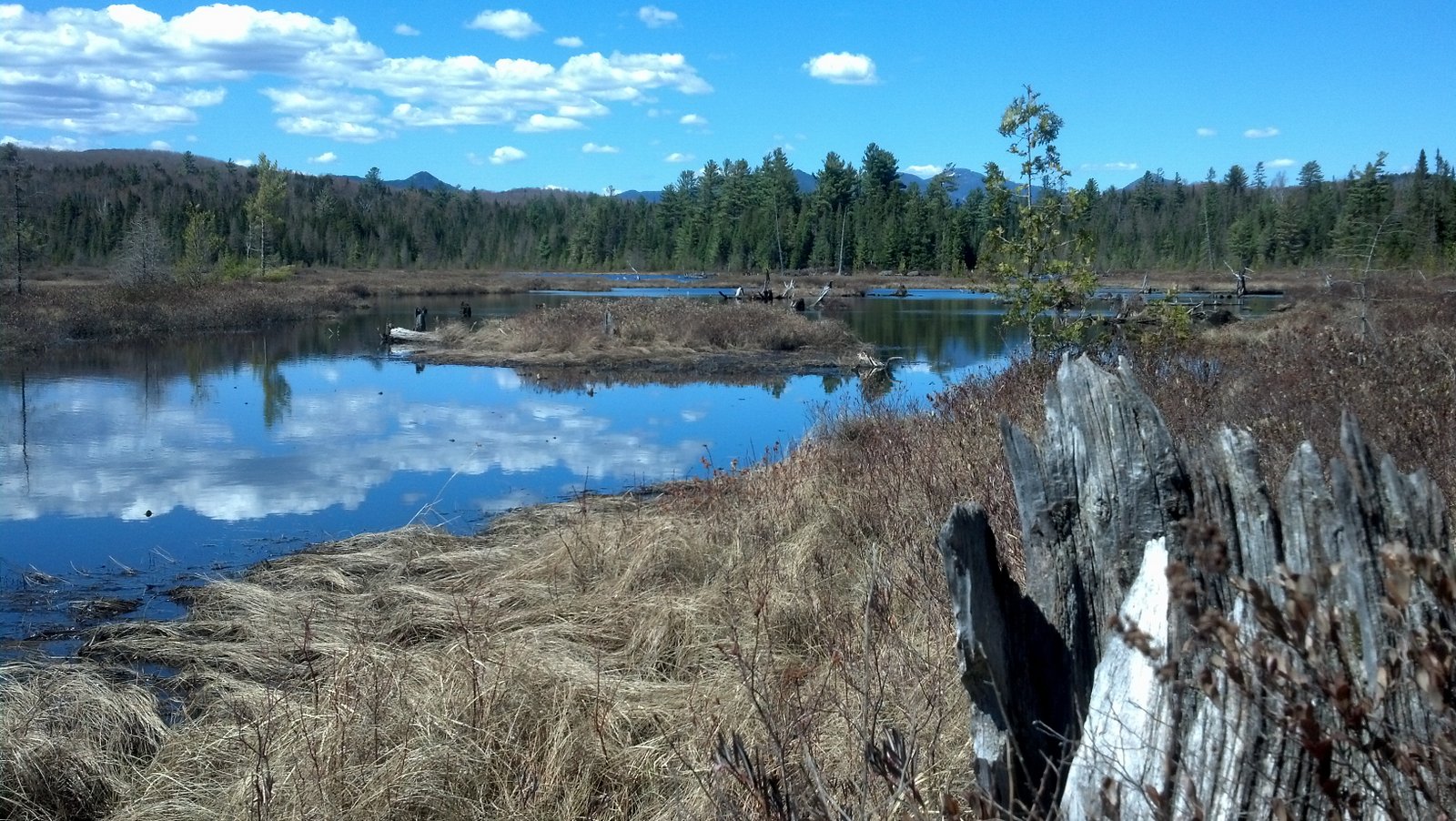 Off on Adventure: Wolf Pond - Vanderwhacker Mountain Wild Forest - 5/5/13