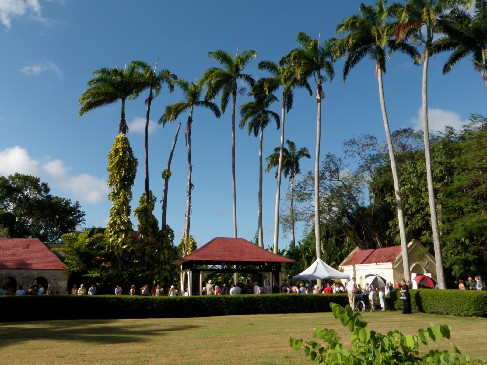 Quiet Reflections of Barbados: Porter's House