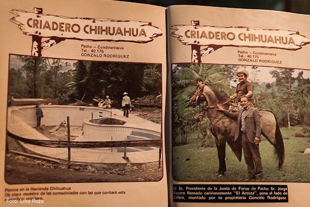 LAS CRÓNICAS DE LECTER: Documental que retrata la vida del sanguinario ...