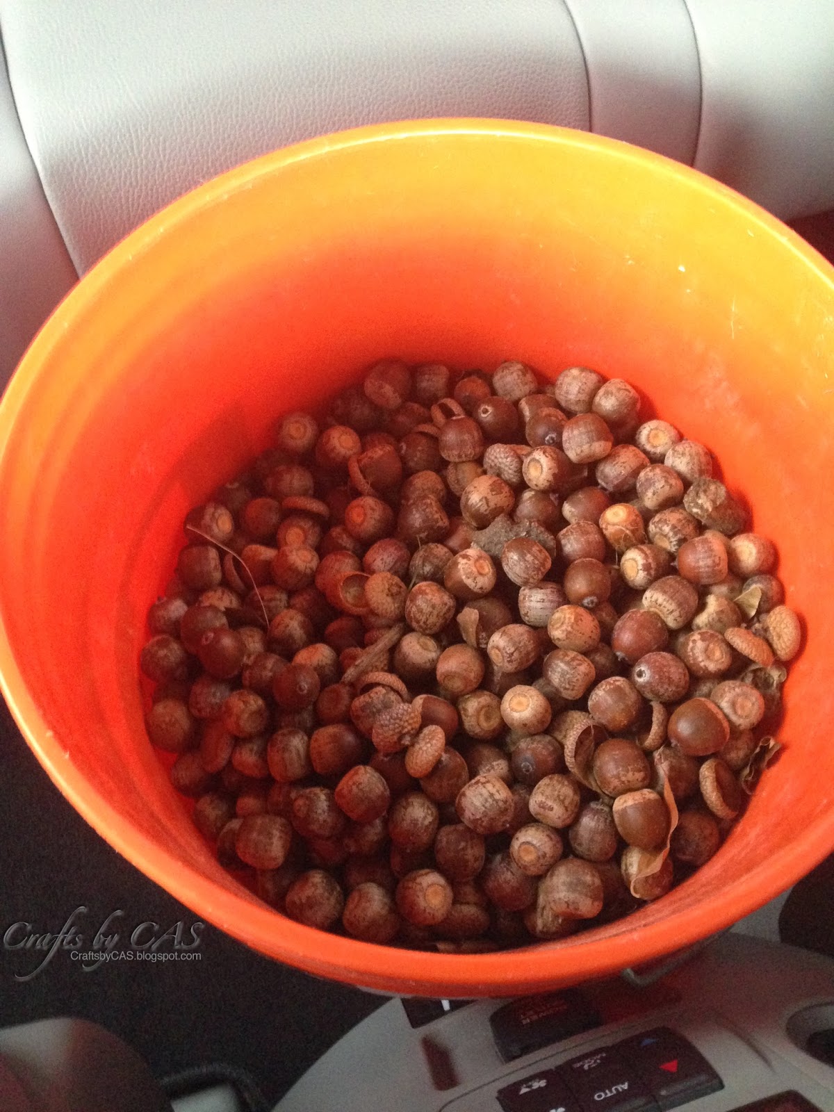 Crafts by CAS: Acorns