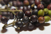 The Cottage: Lada Pahit yang banyak khasiat..