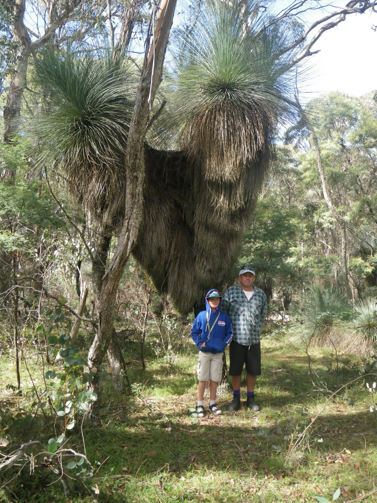 Smith's Travels: Coolah Tops NP - where it's really cool (COLD)