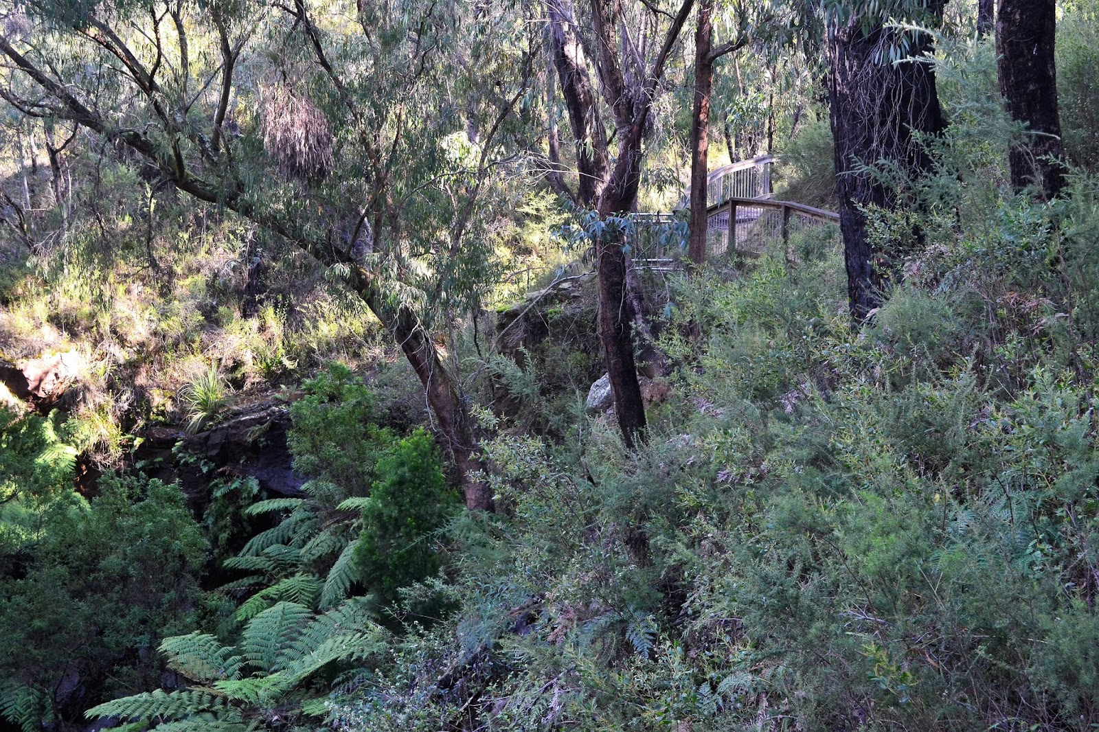 Goin' Feral One Day At A Time: Ironbark Gorge & Currawong Falls, Great ...