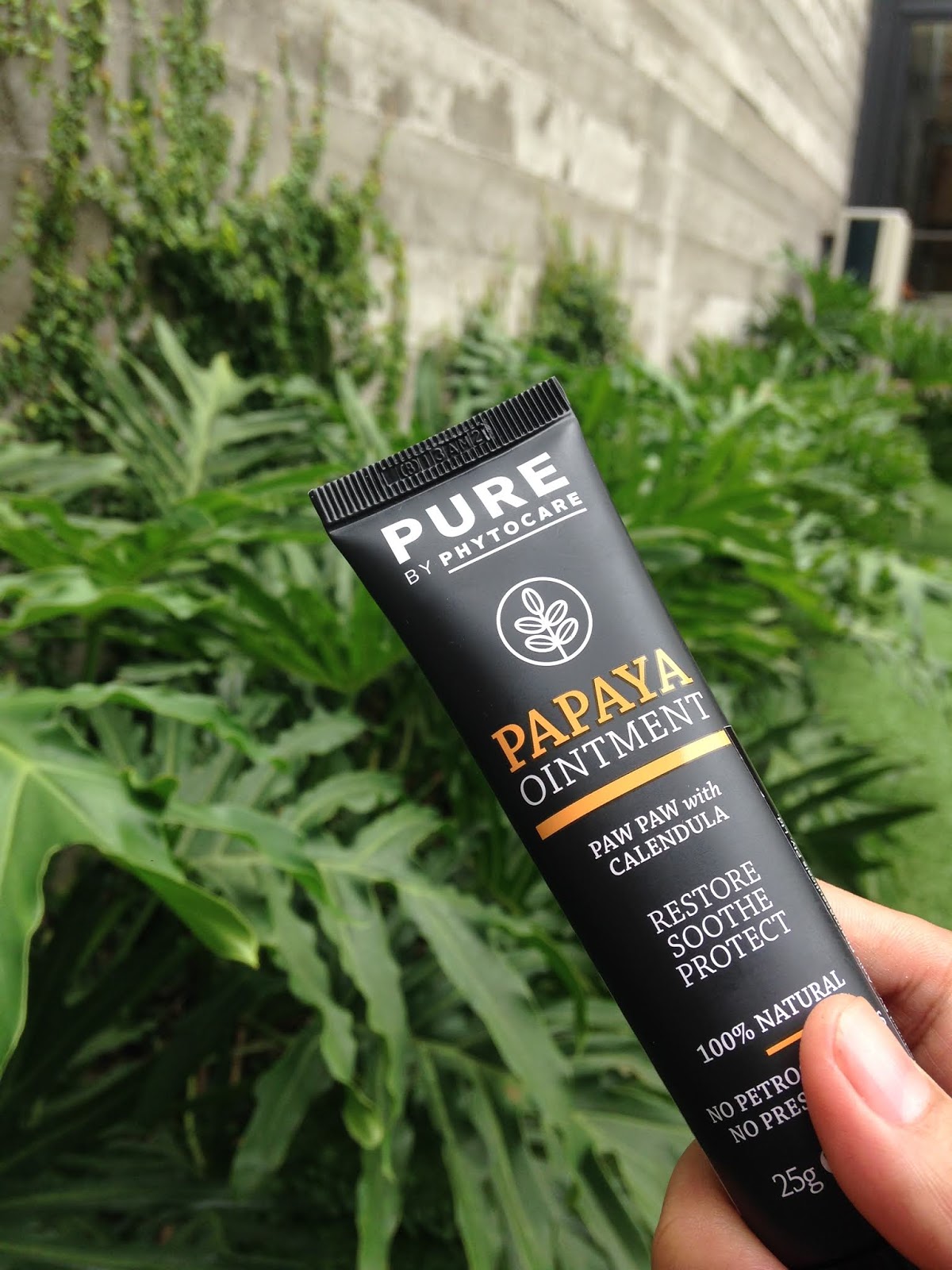 REVIEW PURE BY PHYTOCARE PAPAYA OINMENT / Natrarahmani