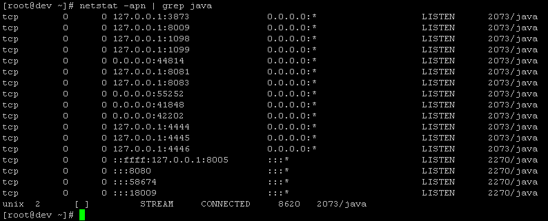 Learn Java Jee Linux Command Netstat