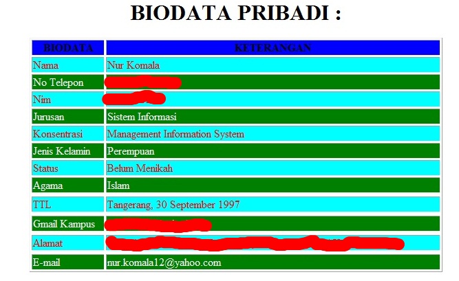 Cara membuat Biodata HTML+CSS lewat Notepad