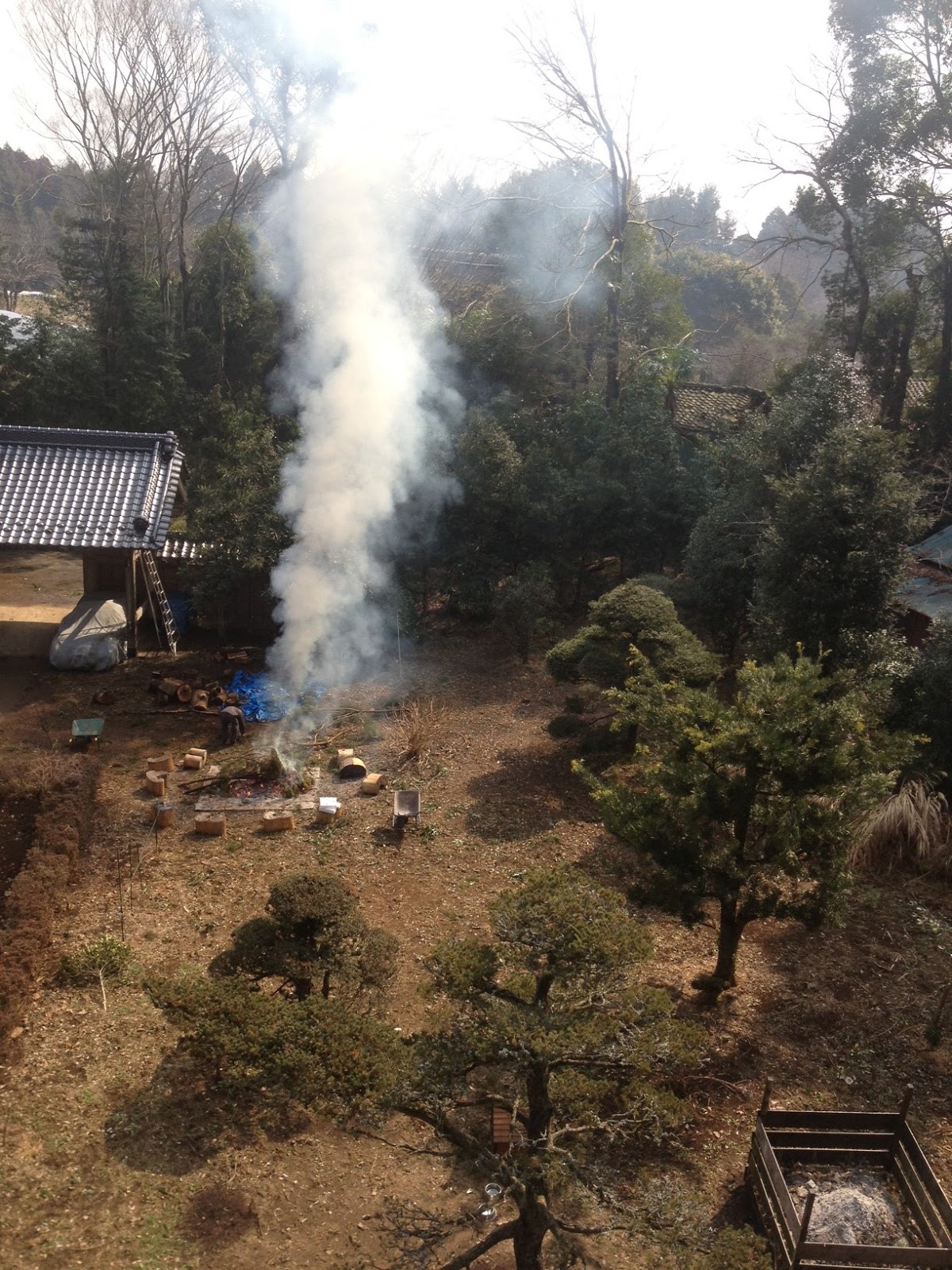Our Japanese Eco-Kominka: East Side Tree felling in February 2013.