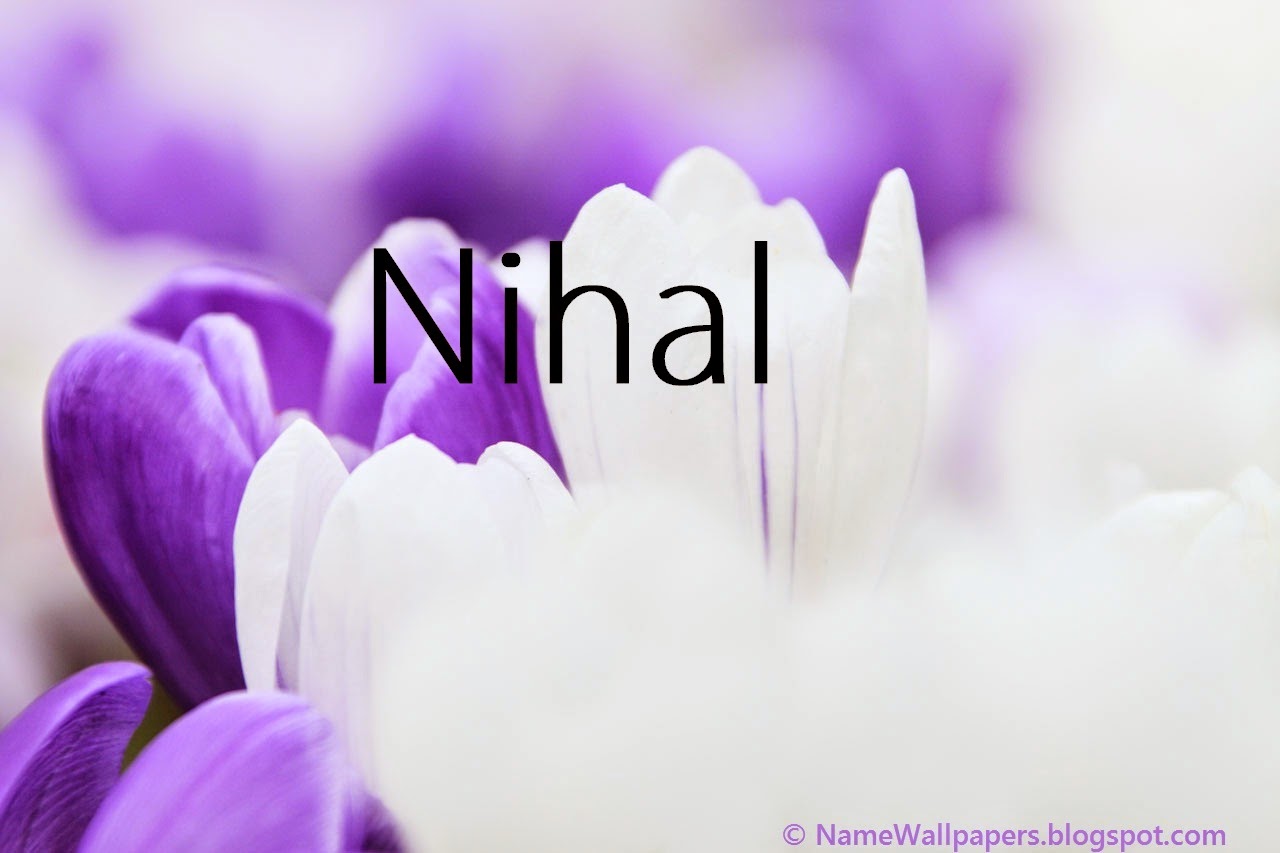 Nihal Name Wallpapers Nihal ~ Name Wallpaper Urdu Name Meaning Name ...