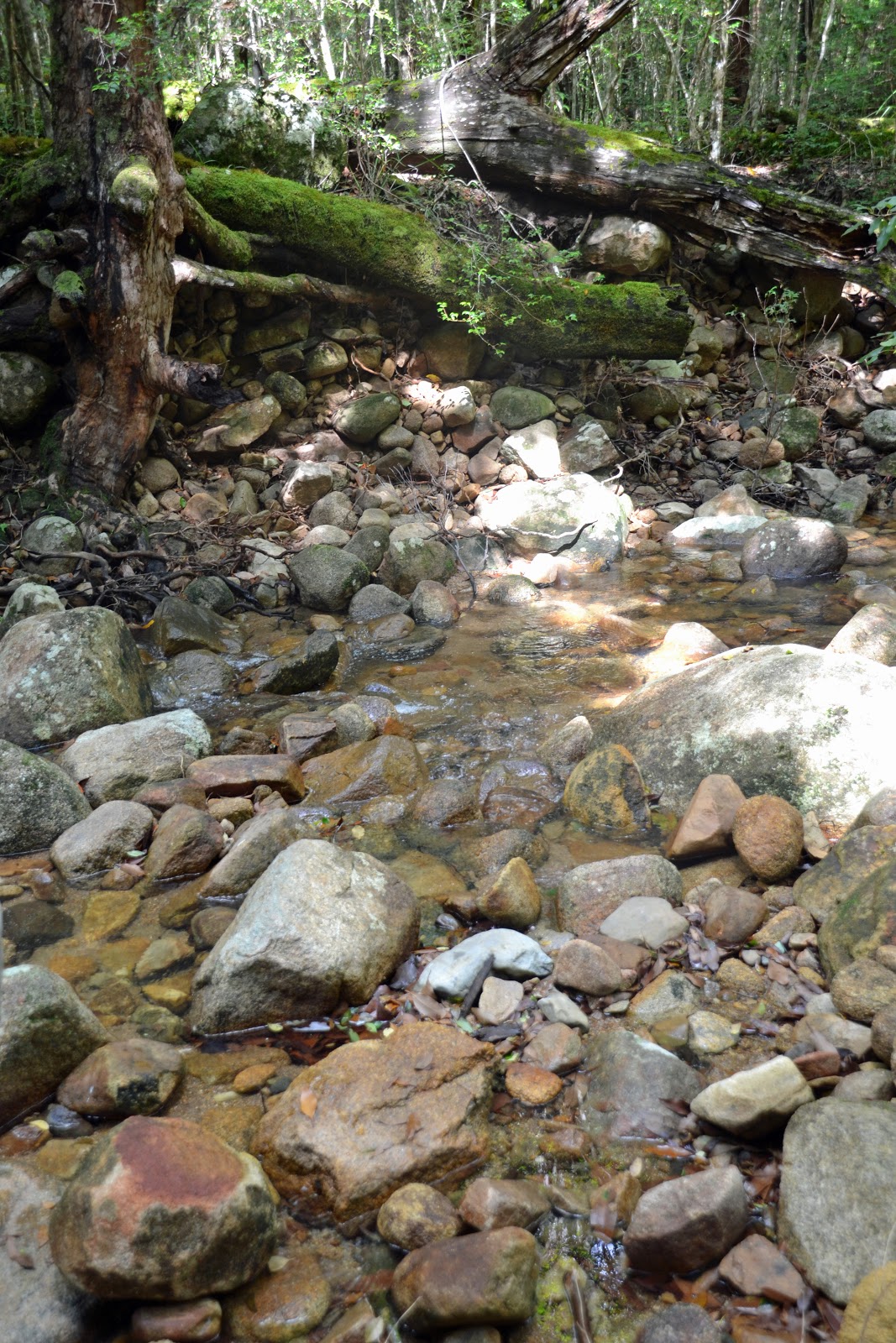 TheA+ Photography: Mothar Mountain Rock Pools