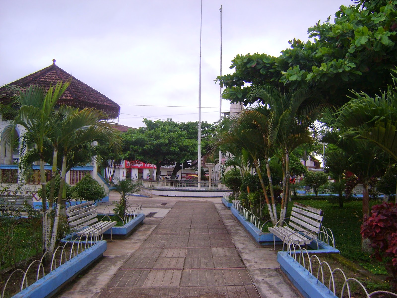 Cerro Escalera: YURIMAGUAS