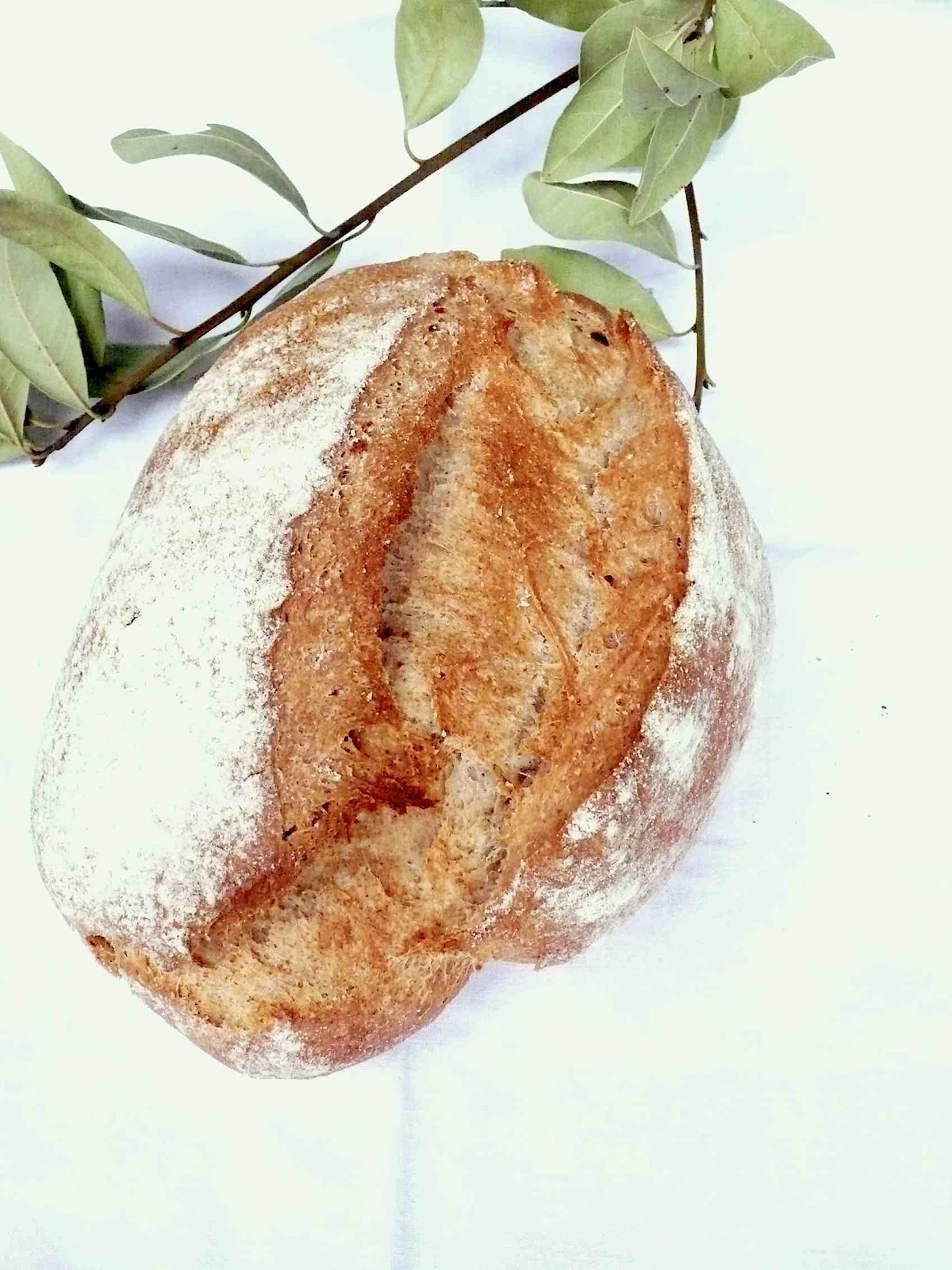 bernd's bakery: Schweizer Landbrot / Swiss Country Bread