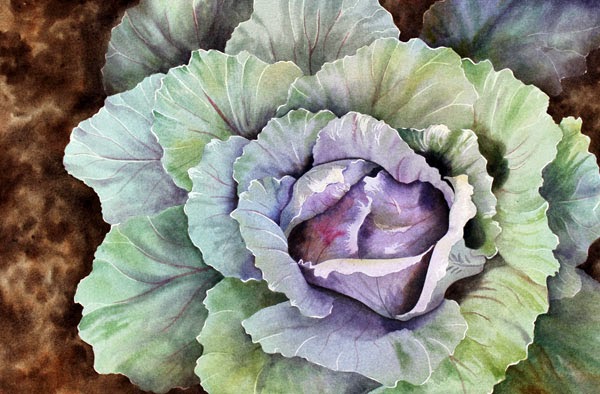 Nancy Goldman Art: Colorful Cabbage