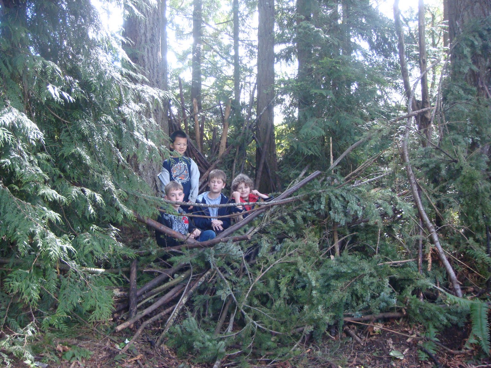 Silverwood Tree House