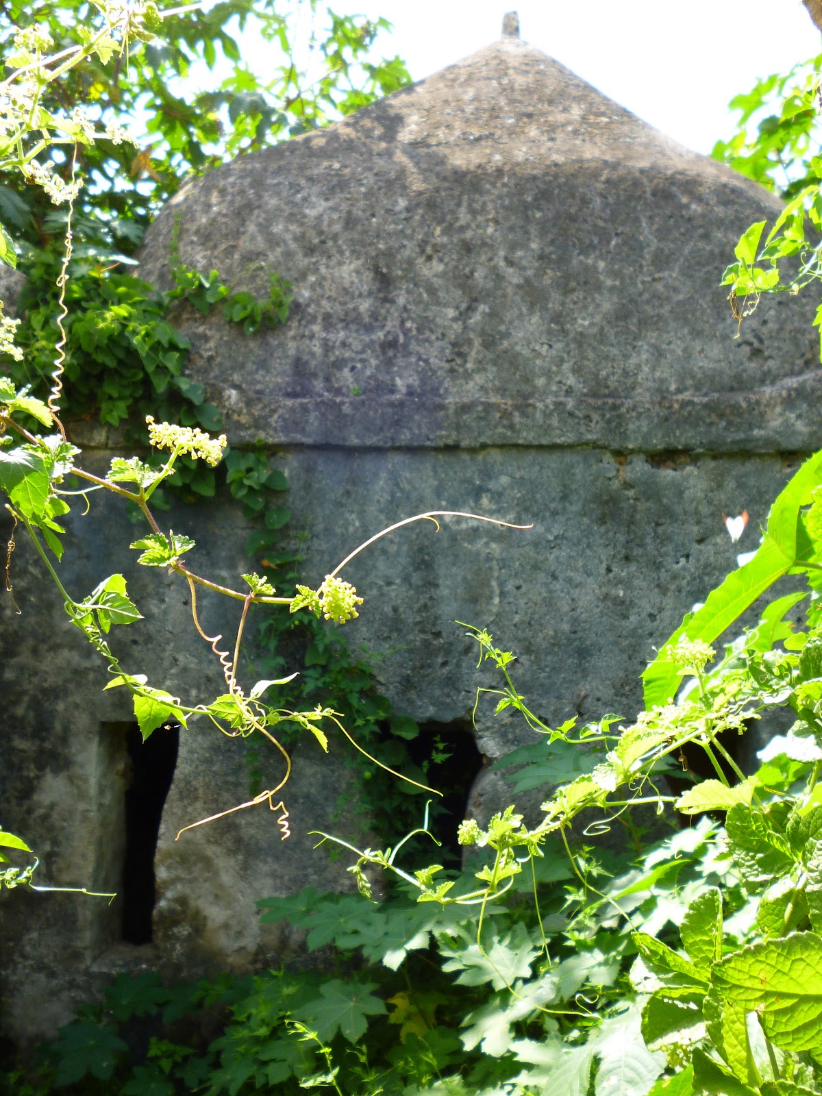 Desi Dixon: Lamu House and Local Ruins at Siyu Fort
