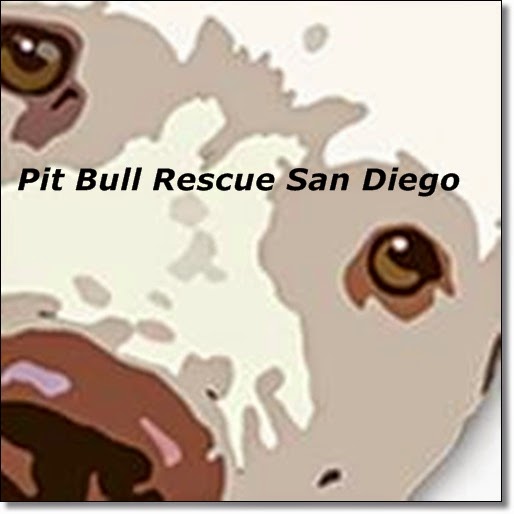 The Pet Tree House - Where Pets Are Family Too : Five Amazing Pit Bull ...