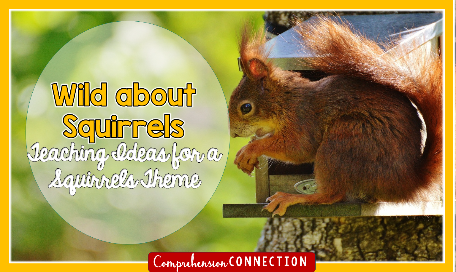 Teaching Ideas For Those Who LOVE Squirrels