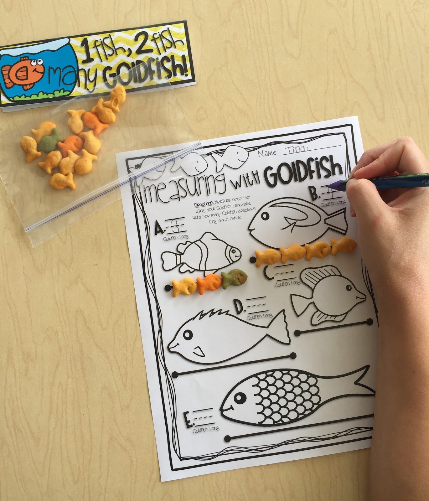 Teaching With Terhune: DR. SEUSS BOOK ACTIVITIES FOR READ ACROSS ...