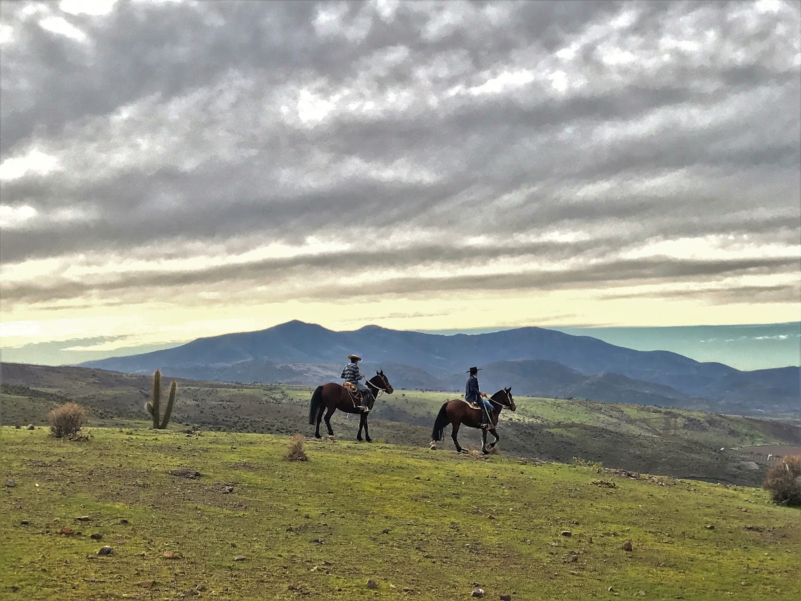 Origen Limarí: El Corazón de Combarbalá