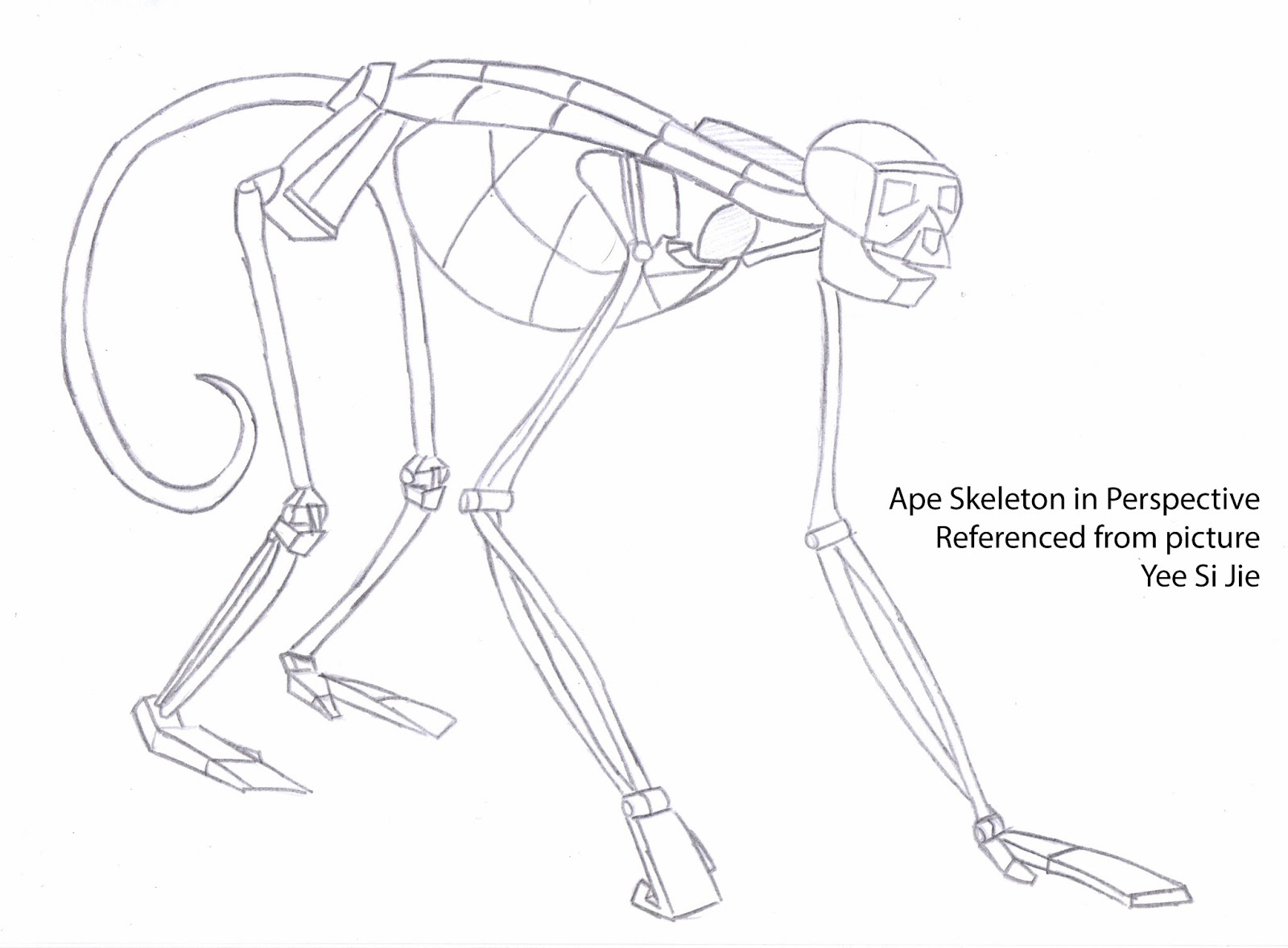 K9's Port: Animal Drawings