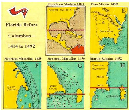 The Treasure Beaches Report Direct From Florida's Treasure Coast.: 2/8 ...