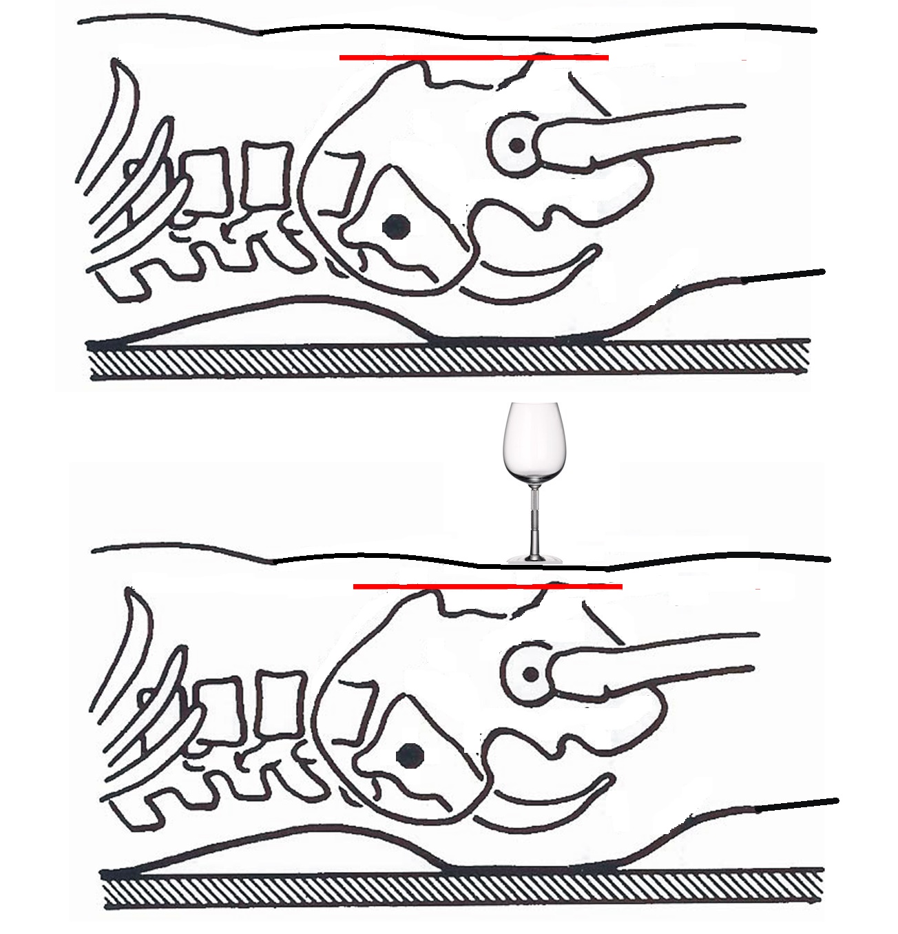 2Fit | Asesoría de Nutrición y Actividad Física: La importancia de una ...