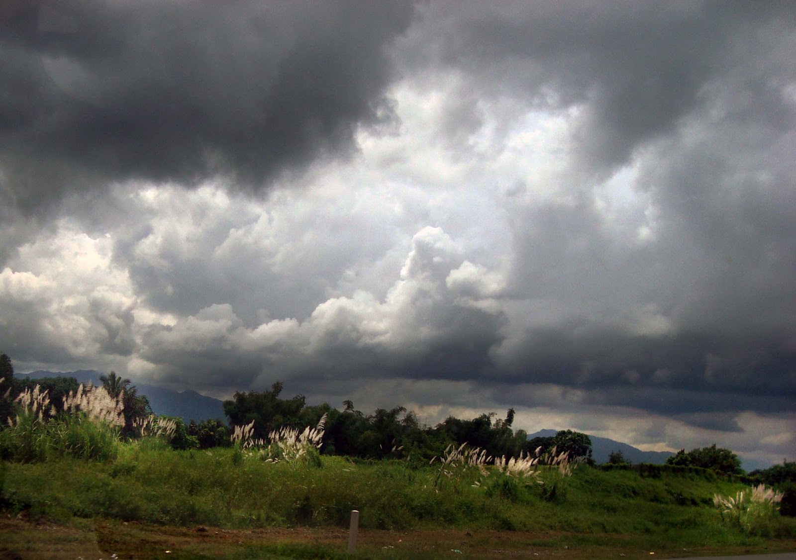 Living with Nature - School on Blog by Dr. Abercio V. Rotor: Flowering ...