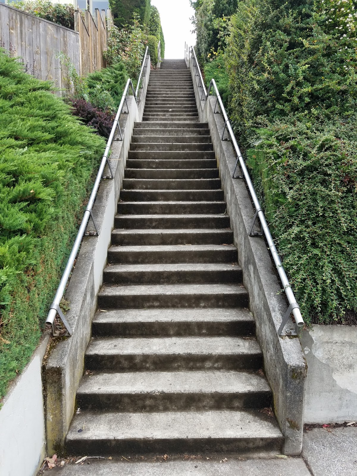 Dave Goes Outside: Portland Stairs Quest 5: Alameda Ridge