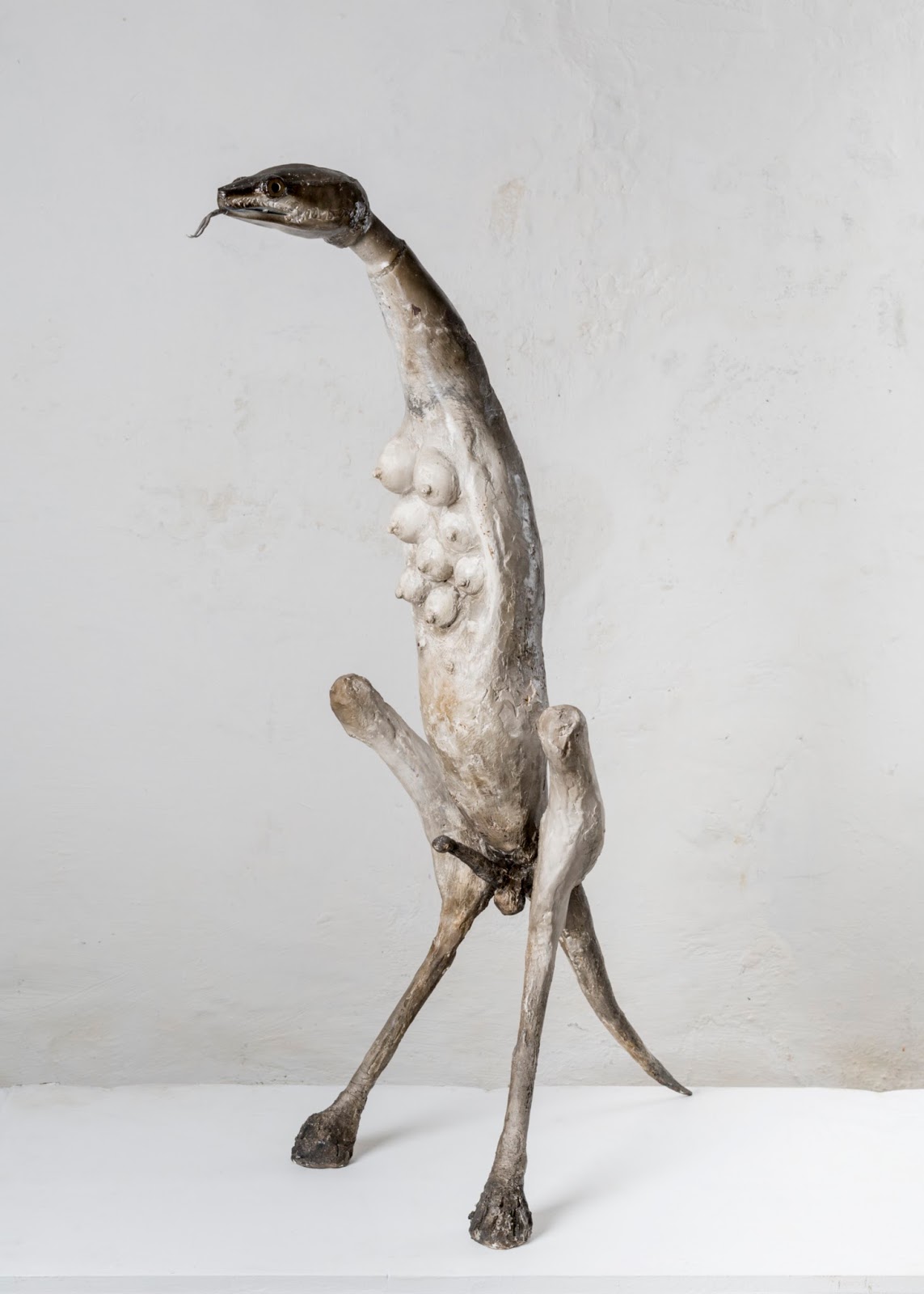 interviews met hedendaagse kunstenaars: Interview met Koenraad Tinel