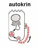 Komunikasi antar sel