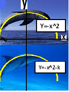 Parabolas in Real Life-Dolphins: Horizontal and Vertical Translations