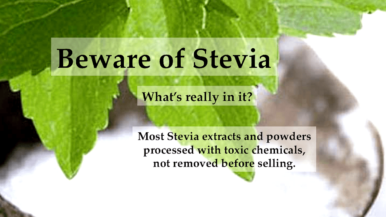 Stevia Dangers Side Effects Danger Choices