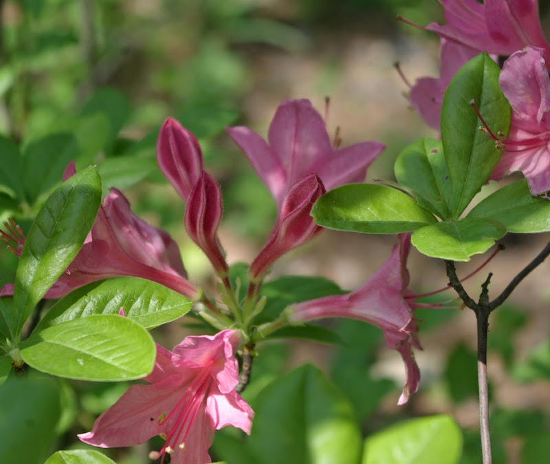 sweetbay: February 2012