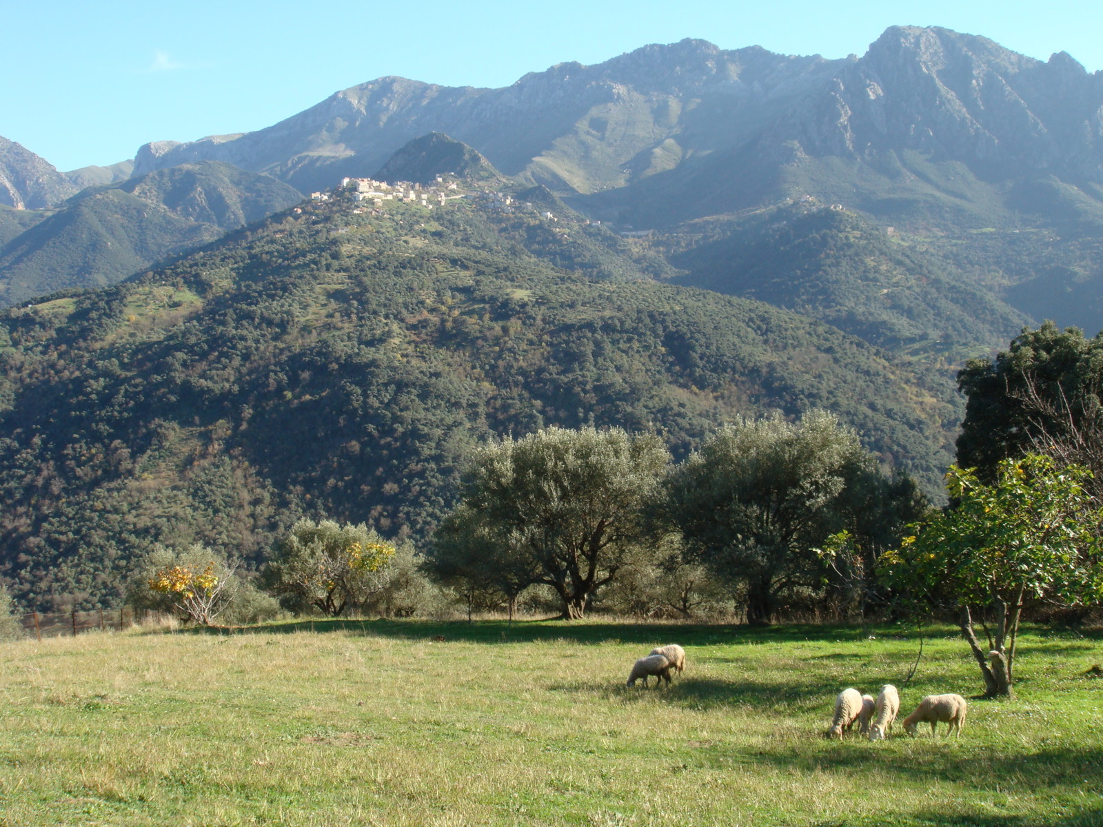 BLOG YEAR2966: ♥ Kabylie ♥