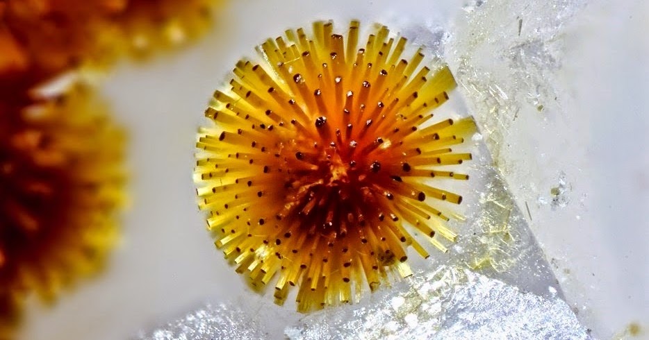Stunning Cacoxenite Crystals | Geology In
